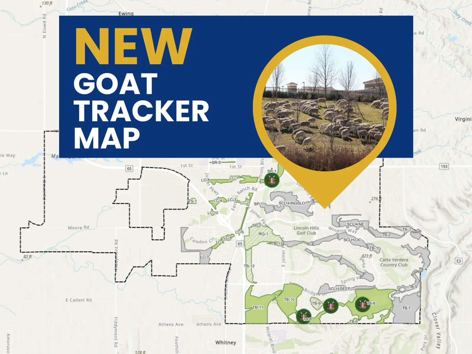 News | City of Lincoln